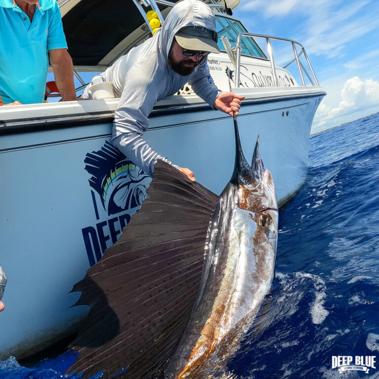 Offshore | Deep Sea Fishing Charters - DEEP BLUE Fishing Charters